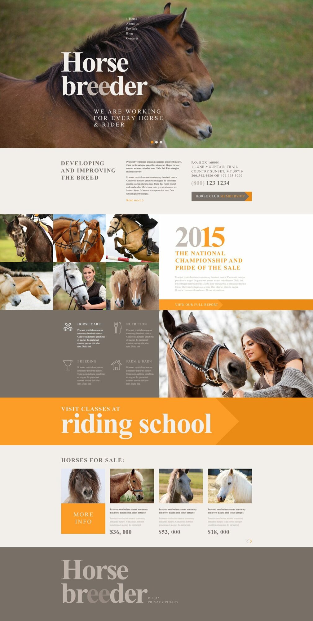 Подарочный сертификат на Шаблон для сайта Вордпресс с демоконтентом Horse Breeder WordPress Theme