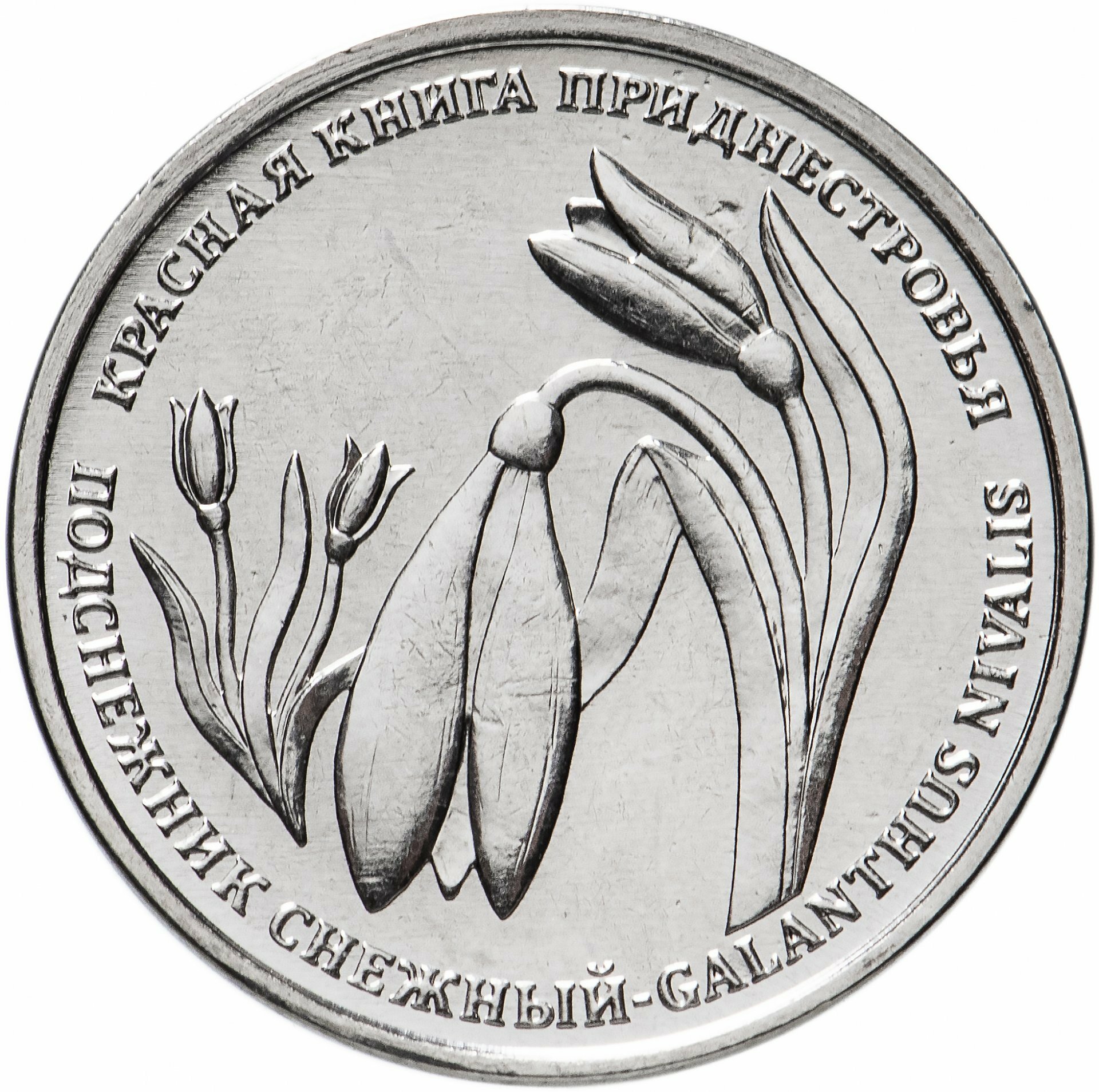 Приднестровье 1 рубль 2020 "Красная книга - Подснежник снежный", Сталь, в сохранности AU-UNC