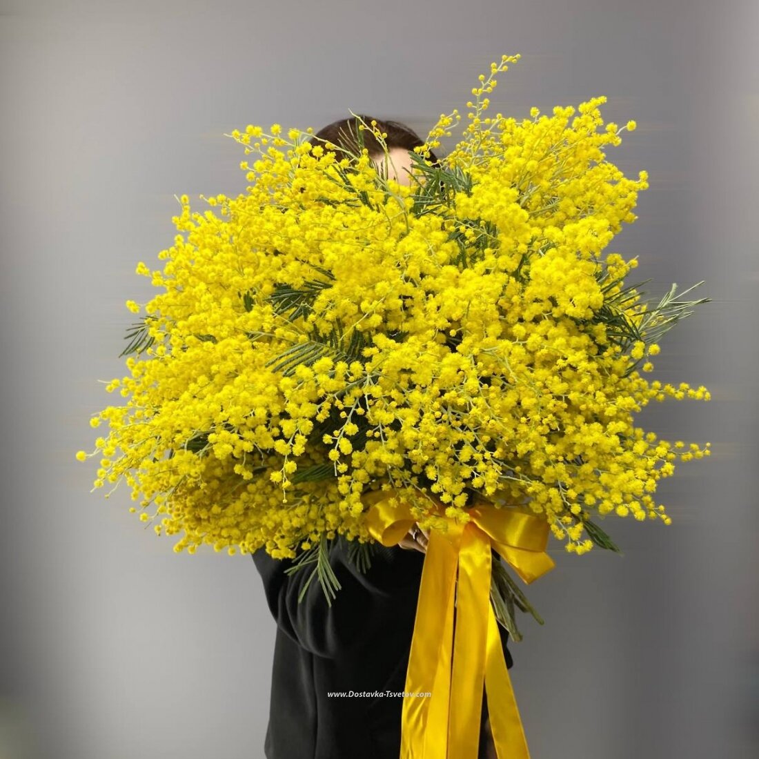 Мимоза/ Букет Мимоз из 29 штук/ Желтая Мимоза/ Цветы к 8 марта/ Доставка цветов по Москве
