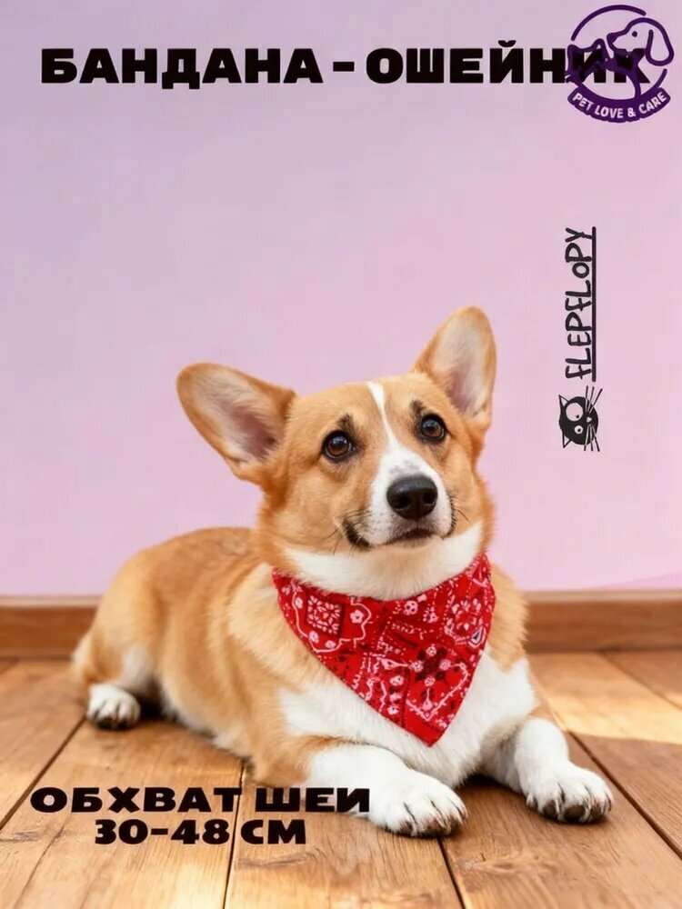 Бандана-ошейник для собак и кошек; Регулируемый размер