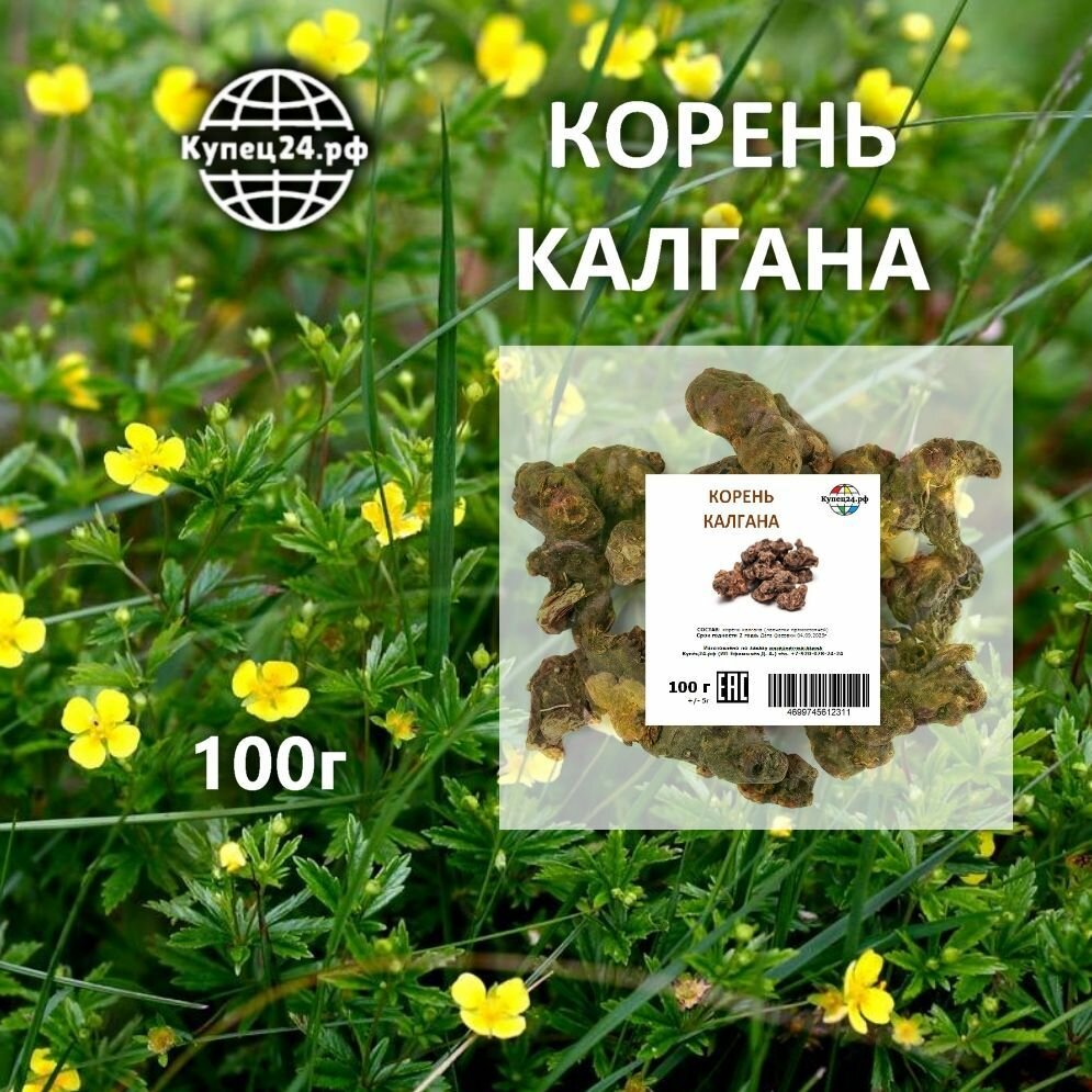 Корень калгана 100г