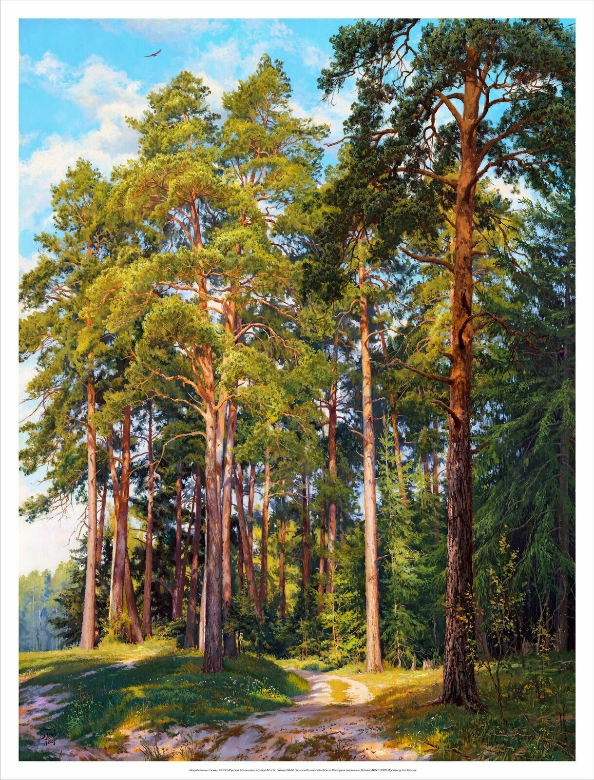 Постер на холсте, "Корабельные сосны", 80х60 см, художник - Басов Сергей. Холст в рулоне, Арт. БС-р17