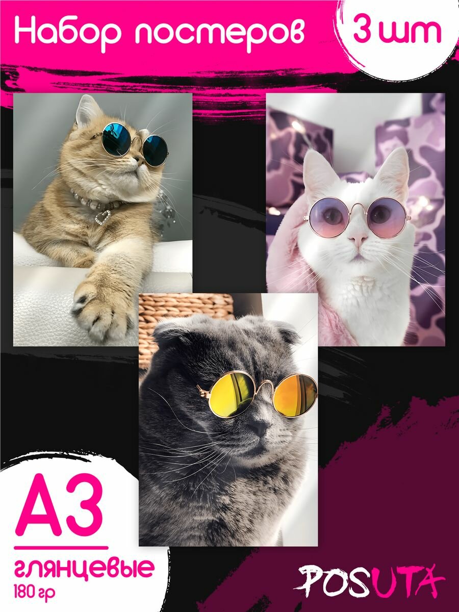 Постеры Смешные Коты Постеры Животные Постеры настенные