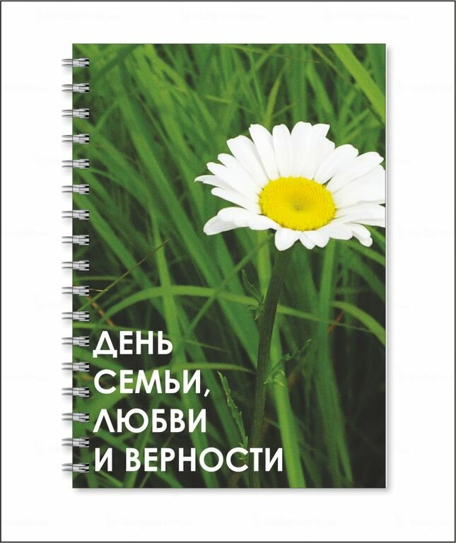 Тетрадь на День семьи, любви и верности №1, А6
