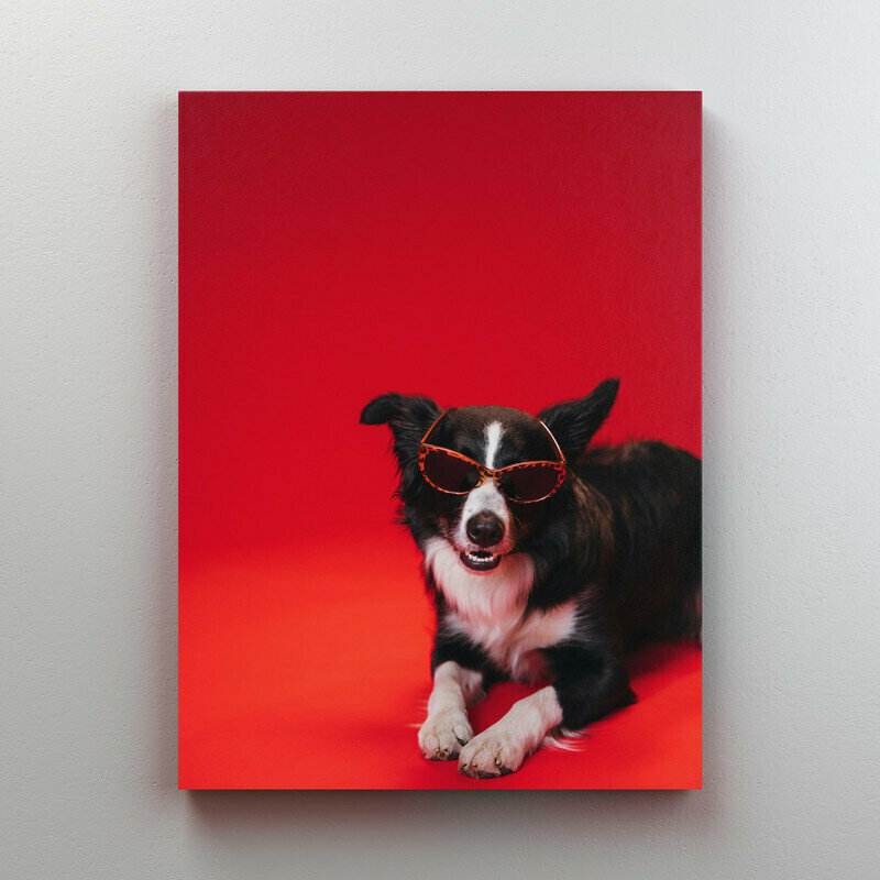 Интерьерная картина на холсте "Бордер-колли - собака в очках" размер 22x30 см