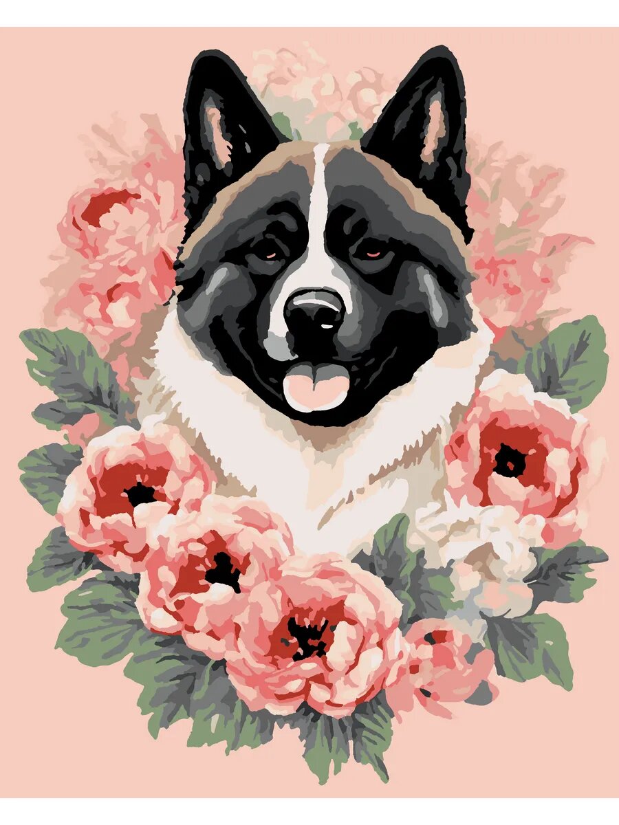 Картина по номерам Американский Акита 40х50 см