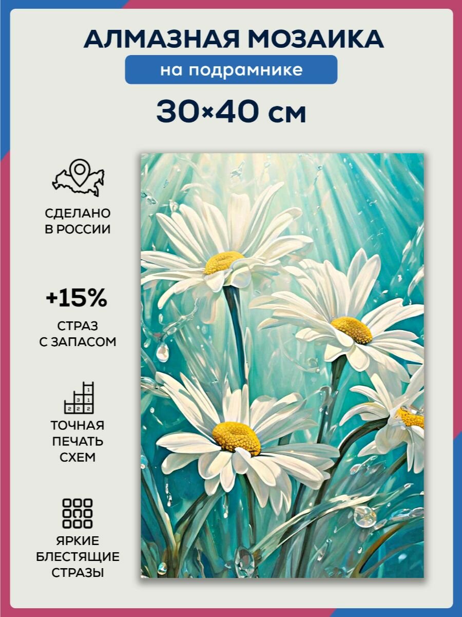 Алмазная мозаика 30x40 Ромашки на подрамнике