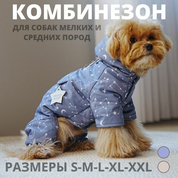 Одежда для животных