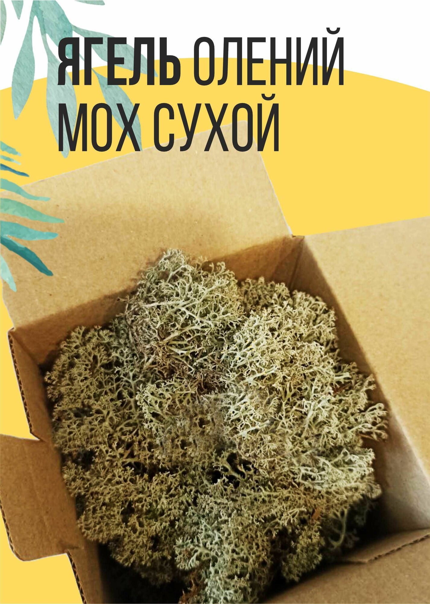 Ягель мох сухой