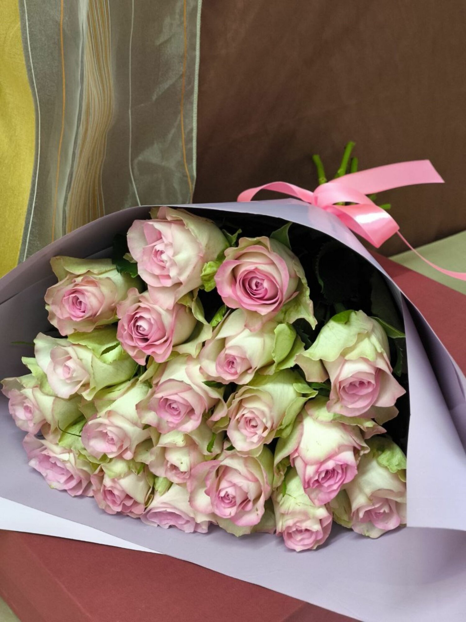 Букет живых цветов из Бело-Розовых Роз 19 шт. высота 42 см. SIMFONI FLOWERS