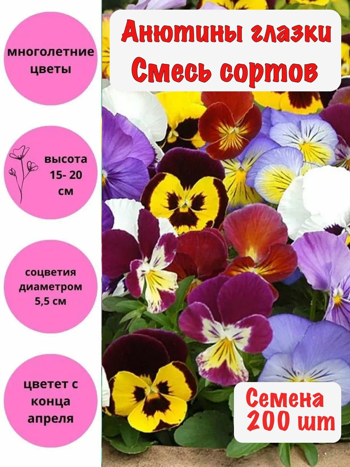 Семена 200 шт Анютины глазки Виола Смесь сортов