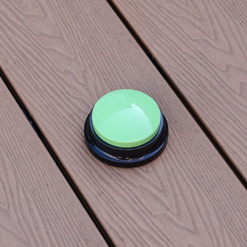 Интерактивная кнопка для обучения речи в детском саду: запись голоса, обучающая игрушка для родителей и детей, кнопка