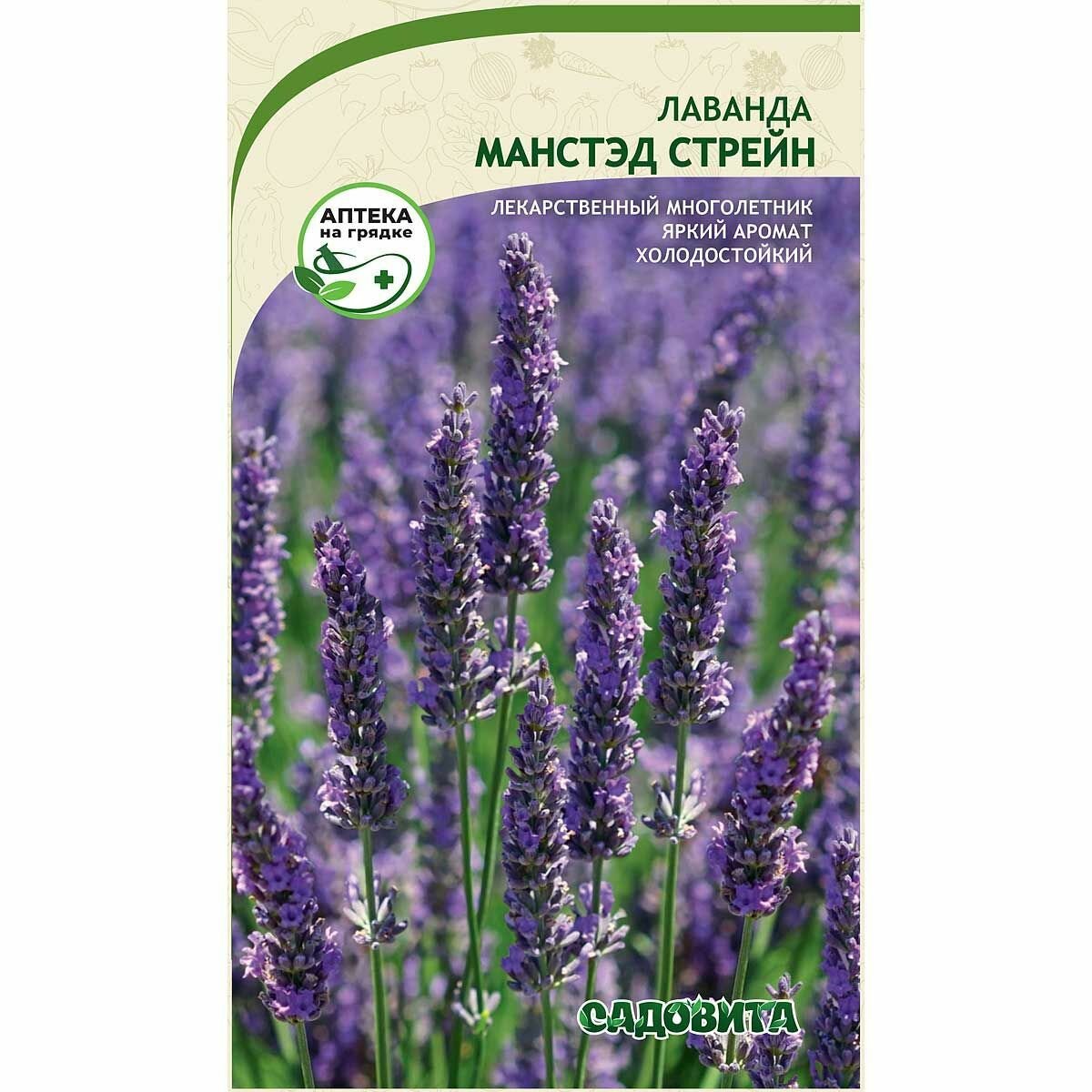 Лаванда Манстэд Стрейн 0,1 г Садовита