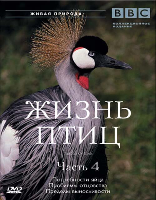 BBC: Жизнь птиц. Часть 4 DVD/1998