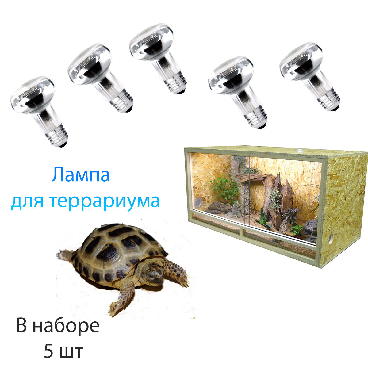 Для террариума лампа 5 шт для террариума черепах ящериц растения декор