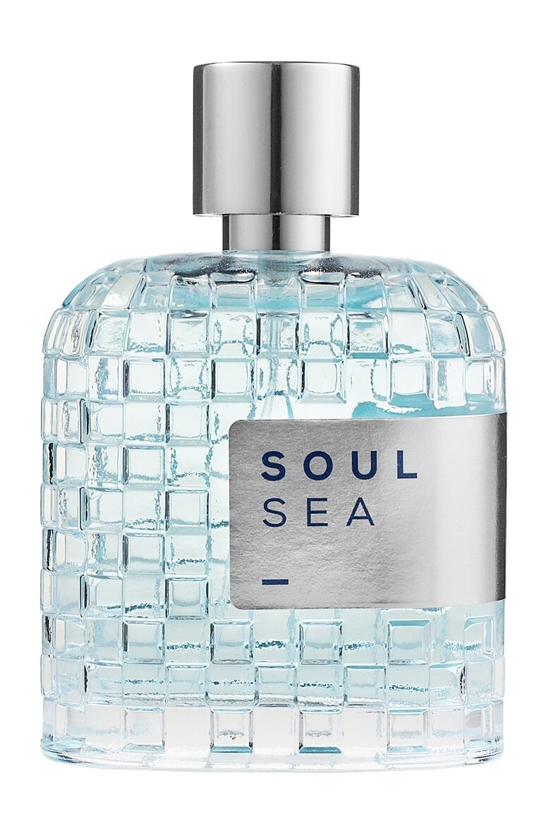 Soul Sea Парфюмерная вода муж, 100 мл