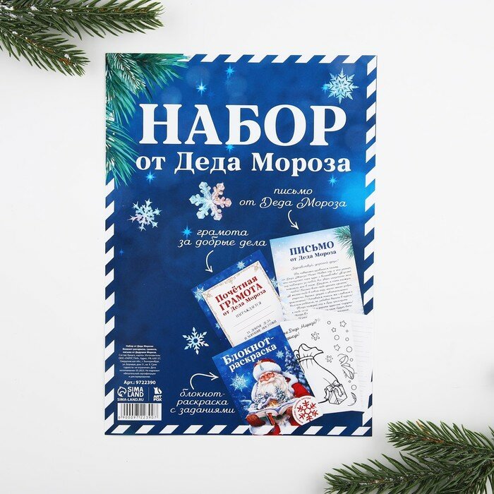 ArtFox Подарочный набор новогодний, письмо от Деда Мороза, блокнот-раскраска, грамота «Новогодняя сказка»