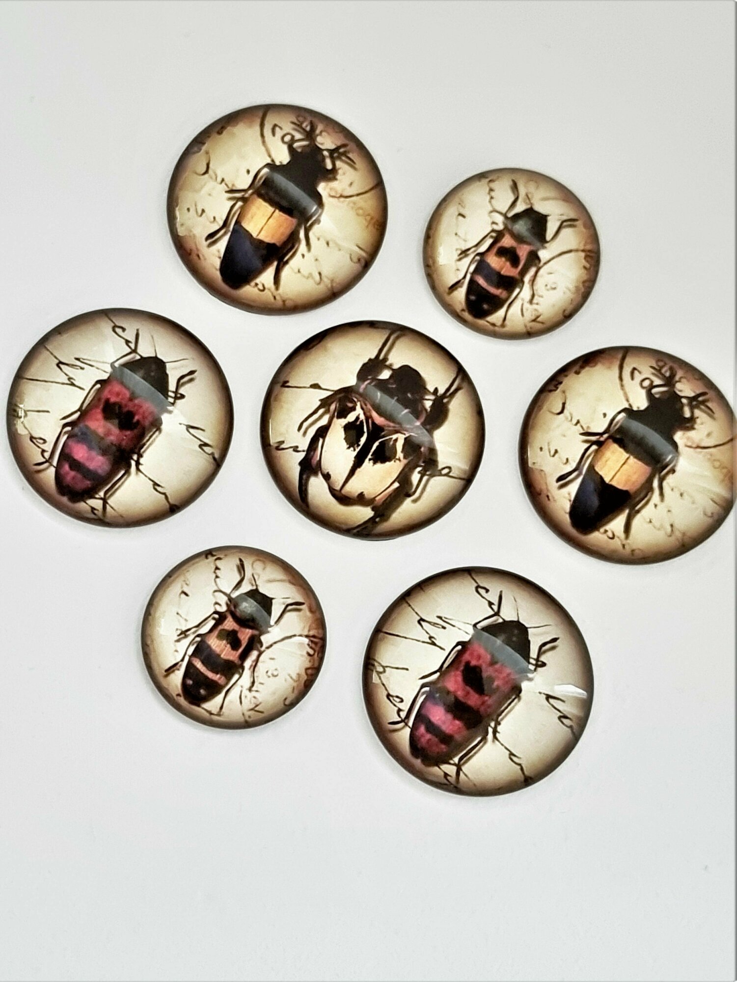 Кабошоны с жуками №1: 20-25мм. 7шт.