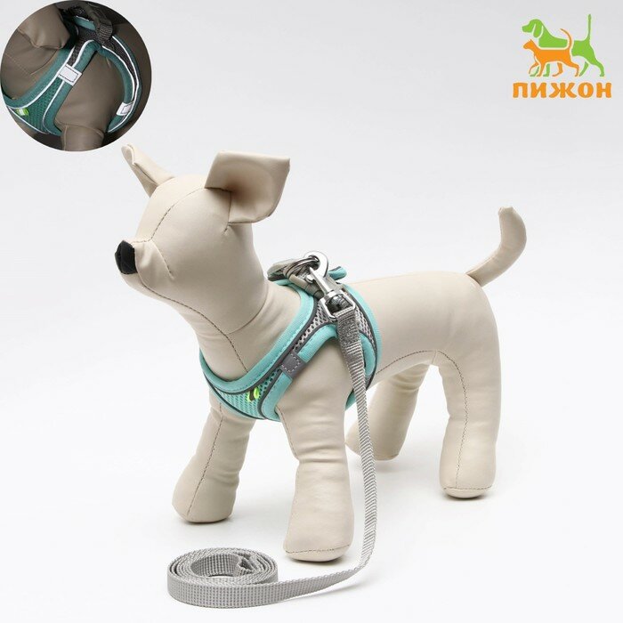 Шлейка с поводком, XS, ОШ 29-32 ОГ 31-34 см, поводок 150×1.5 см, быстросъёмная, мягкая, бирюзовая