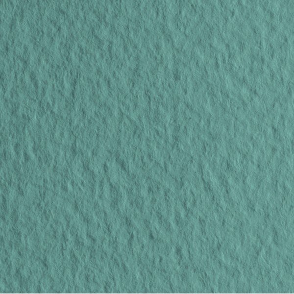 Fabriano Бумага для пастели "Tiziano" 160г/м2 50x65см сальвия, 10л