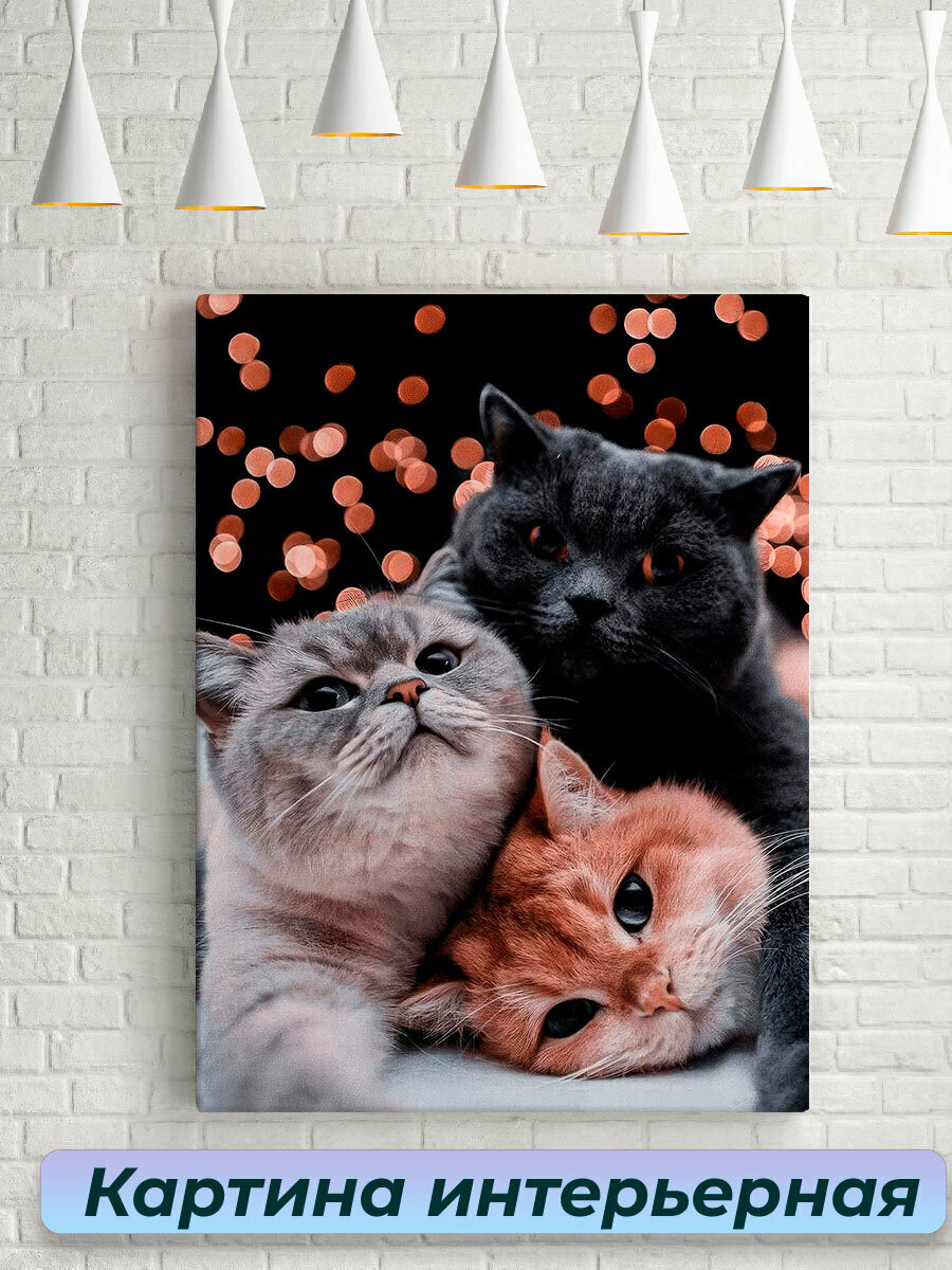 Картины для интерьера 30х40 Кошки огни ночь