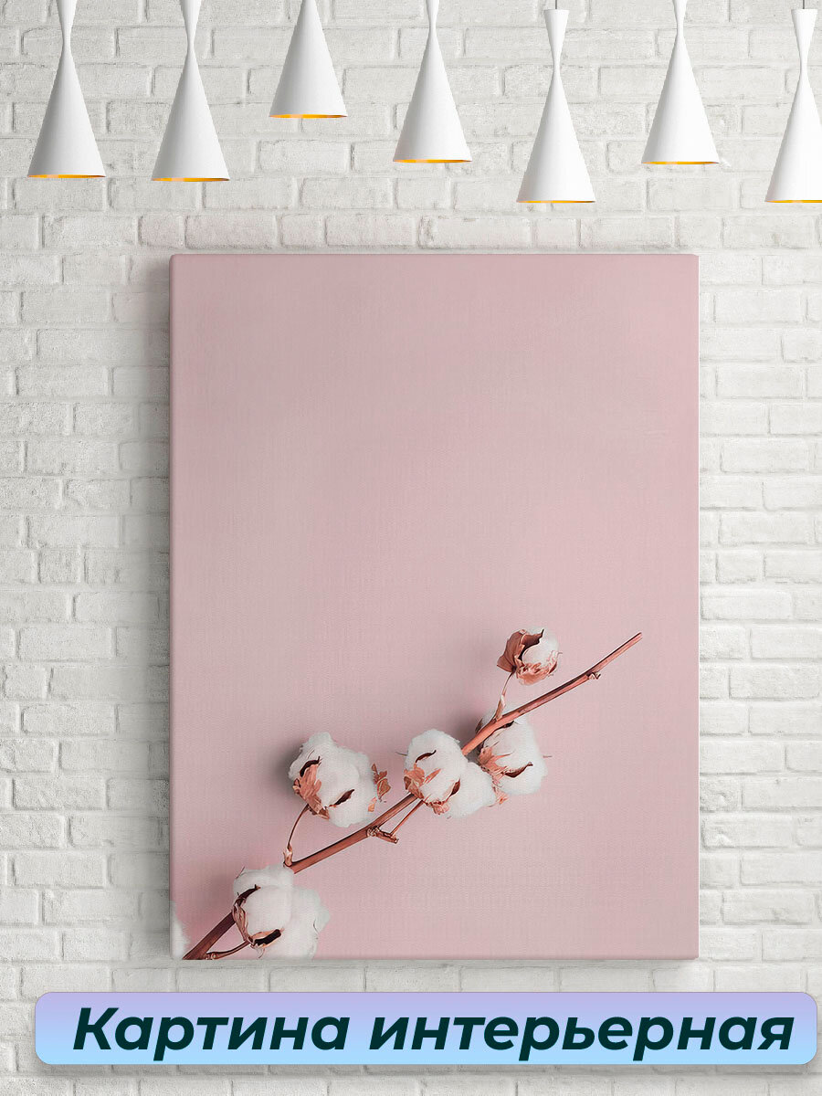 Картины для интерьера 30х40 Веточка хлопок розовый фон