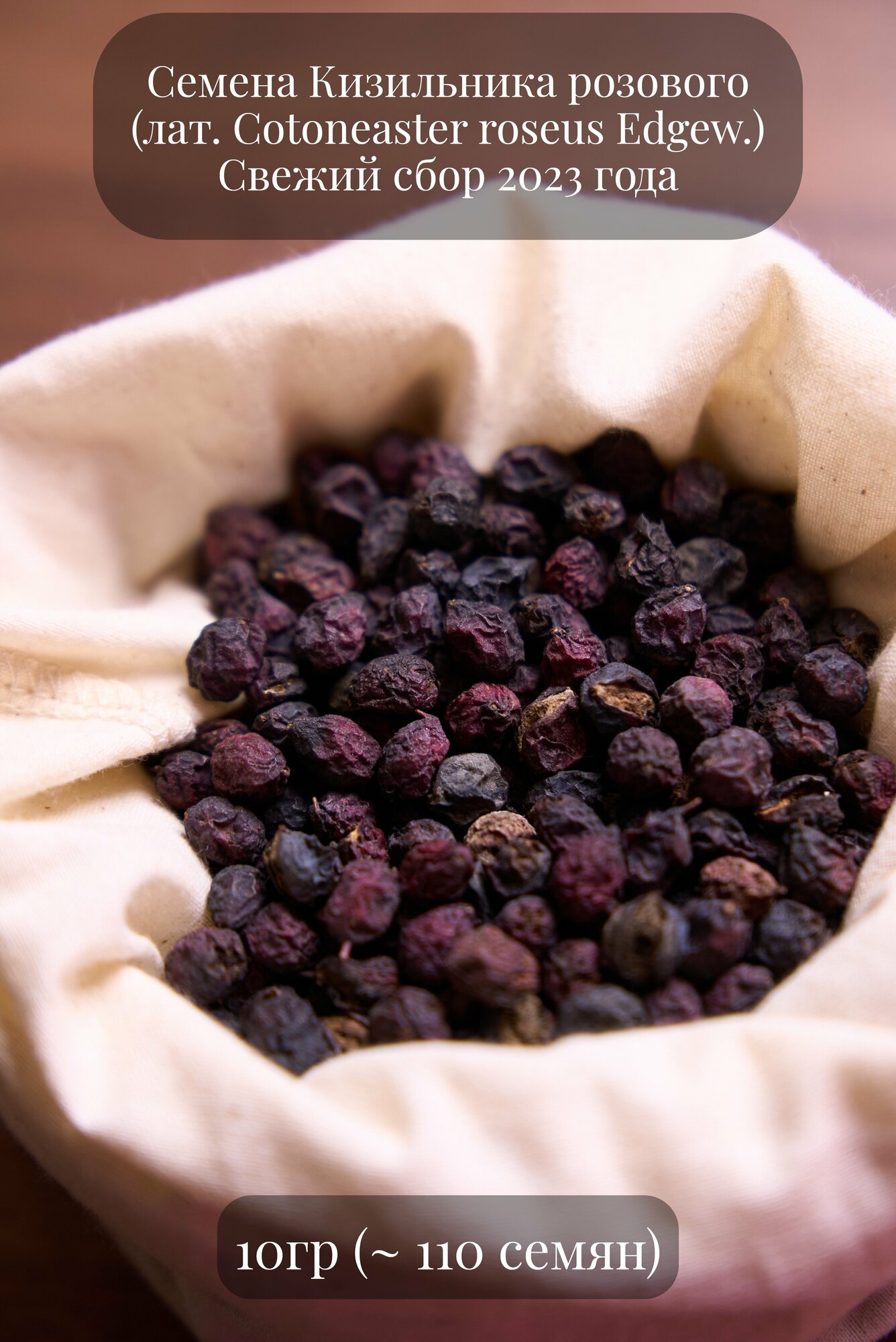 Семена Кизильника розового декоративного быстрорастущего кустарника, 10 грамм (примерно 110 шт)