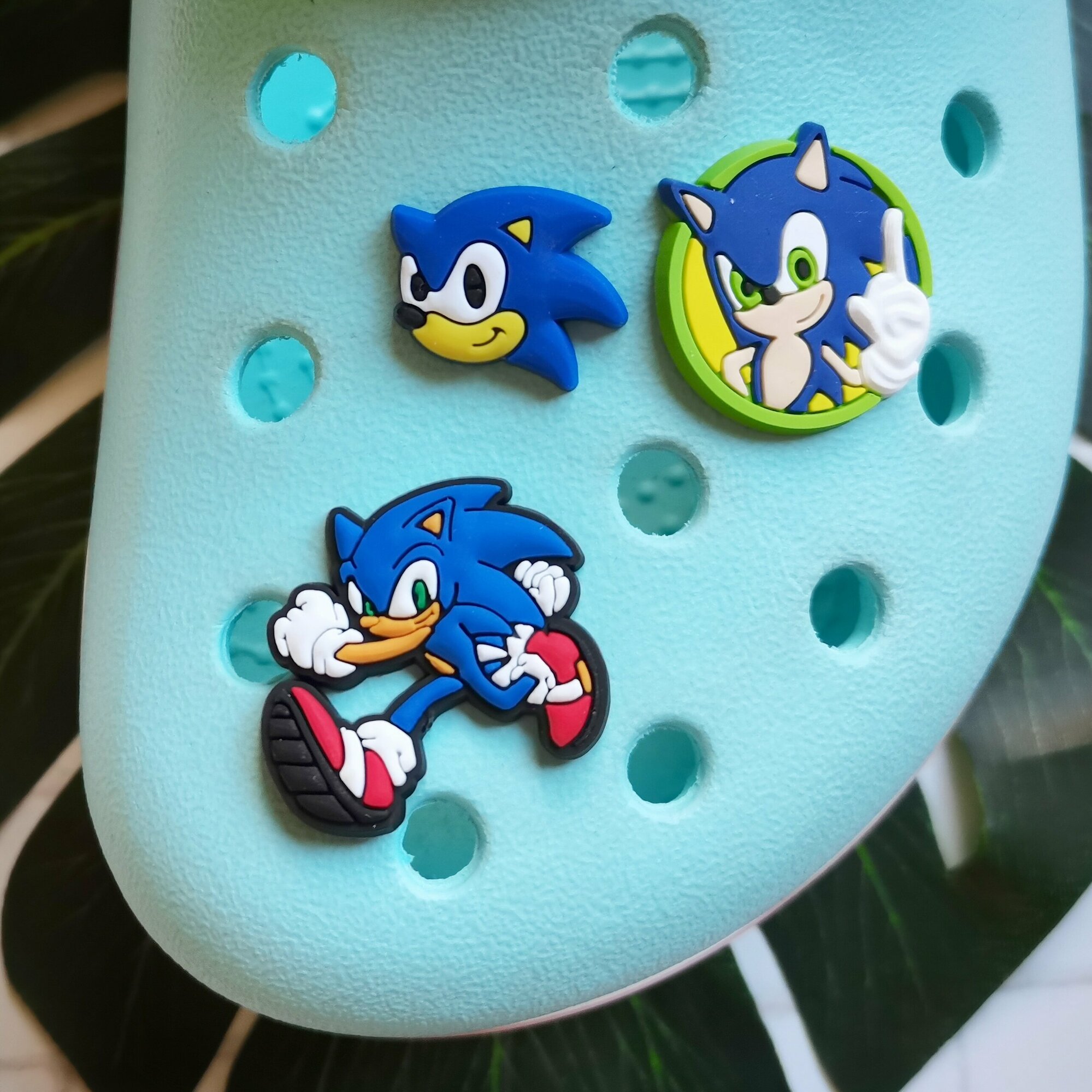 Джибитс Соник на crocs — фото 1