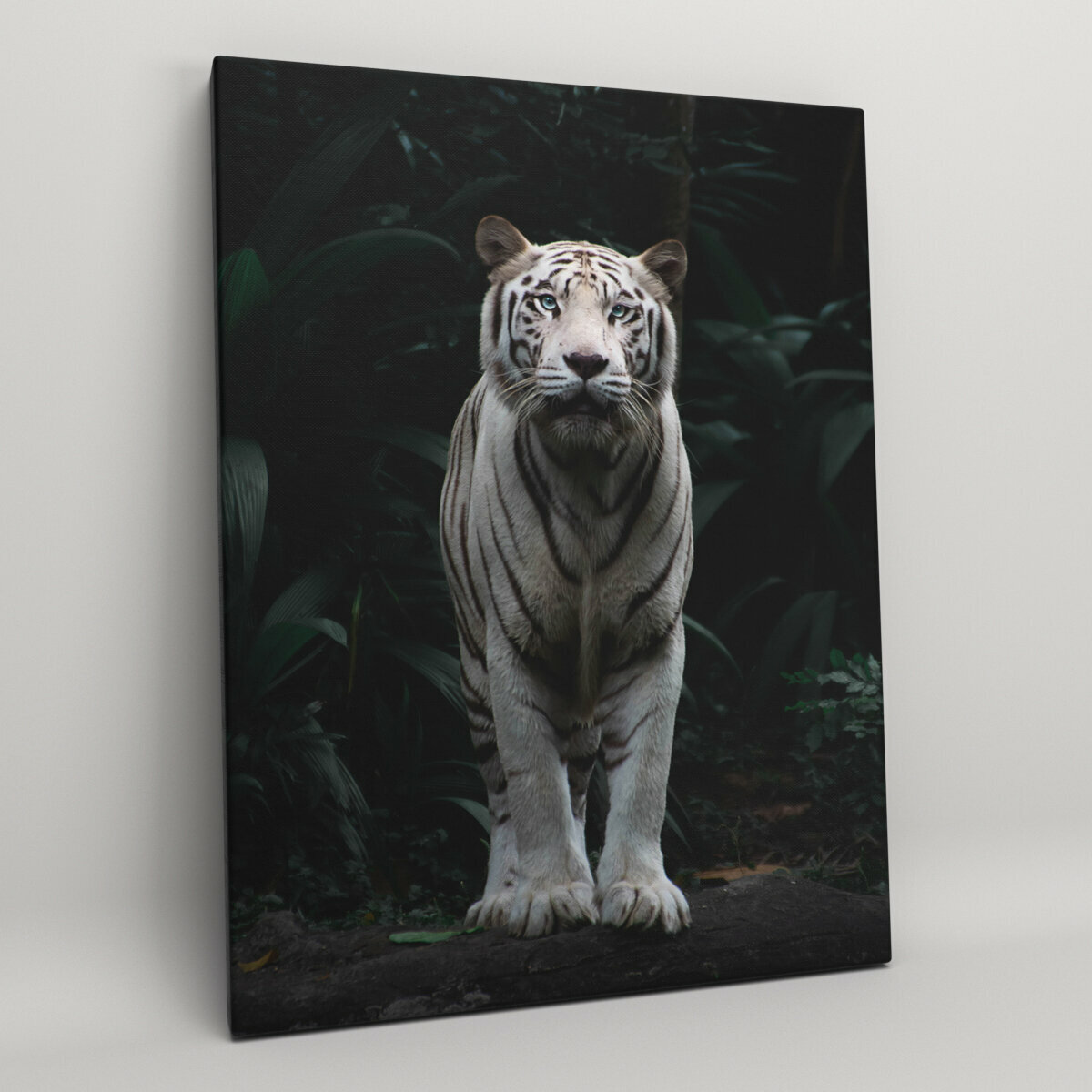 Картина на холсте (интерьерный постер) "Белый бенгальский тигр", с деревянным подрамником, размер 45x60 см
