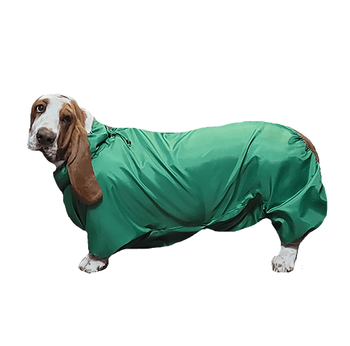 Комбинезон-дождевик для бассета кобеля, повышенной прочности, цвет зеленый