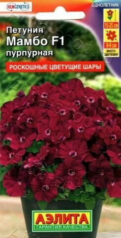 Петуния многоцветковая Мамбо пурпурная F1 ( 1 упаковка ) , семена