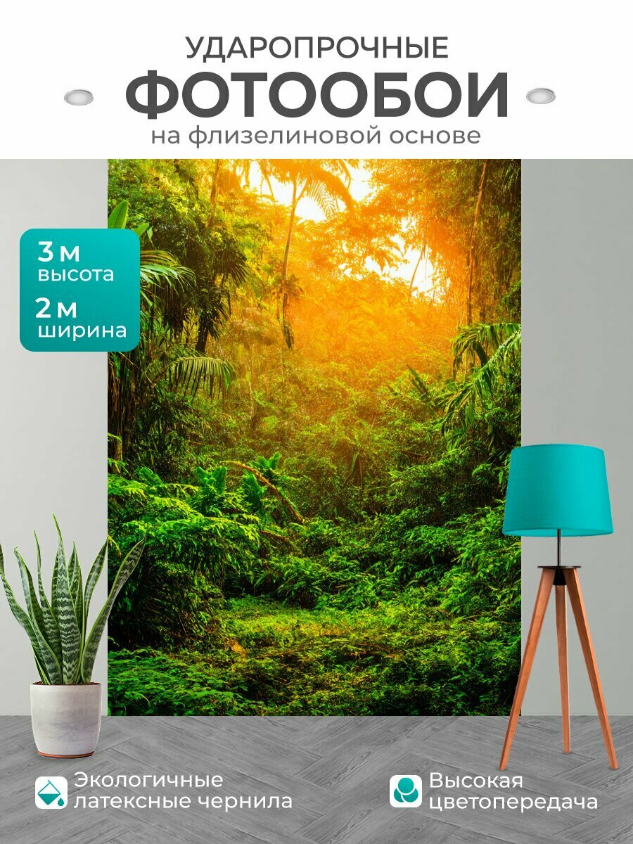 Фотообои моющиеся ударопрочные "Джунгли на рассвете, яркие цвета, тропические растения" 200x300 см. флизелиновые на стену