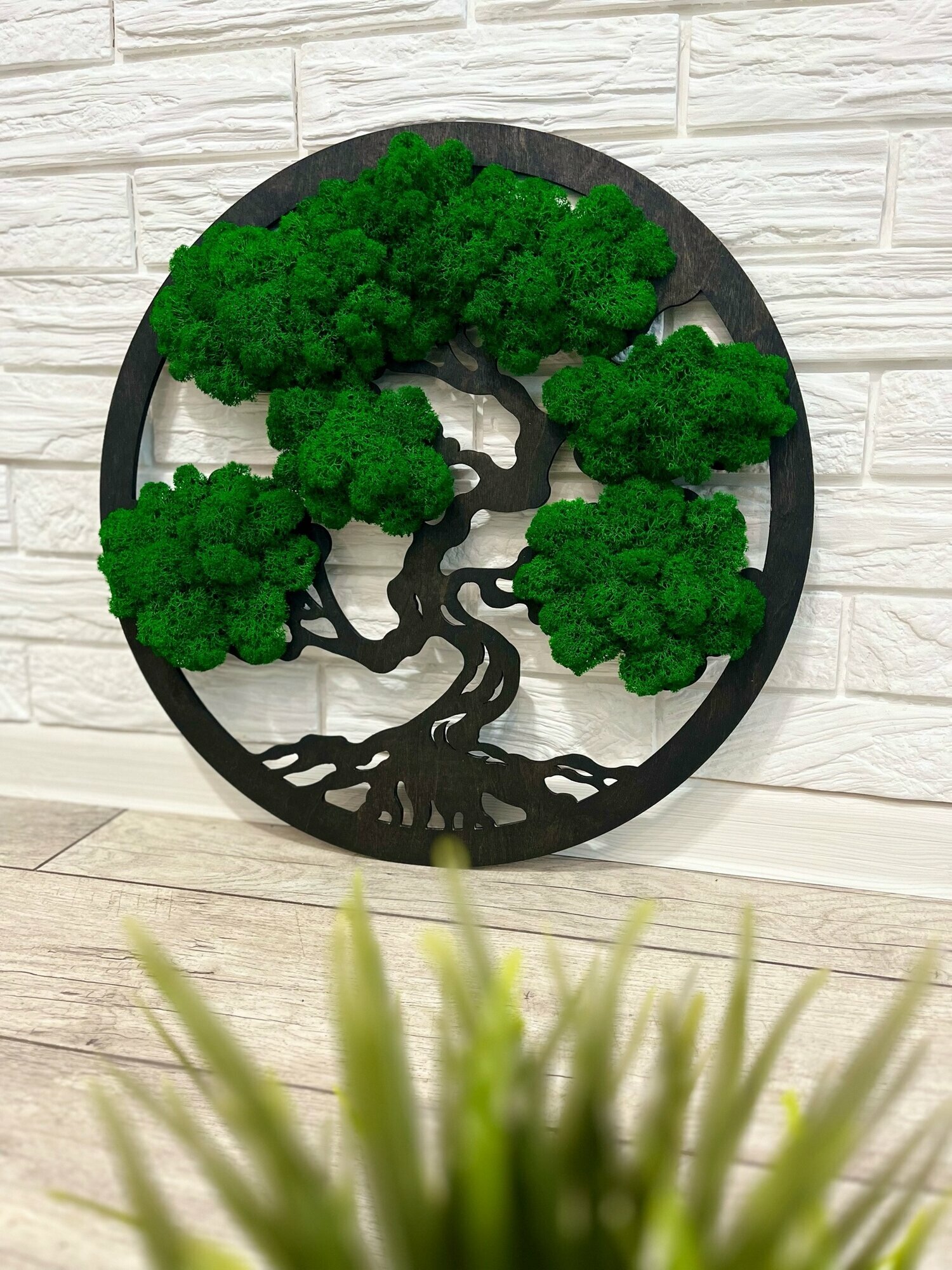 Дерево "Бонсай", стабилизированный мох, панно на стену, 48x48 см