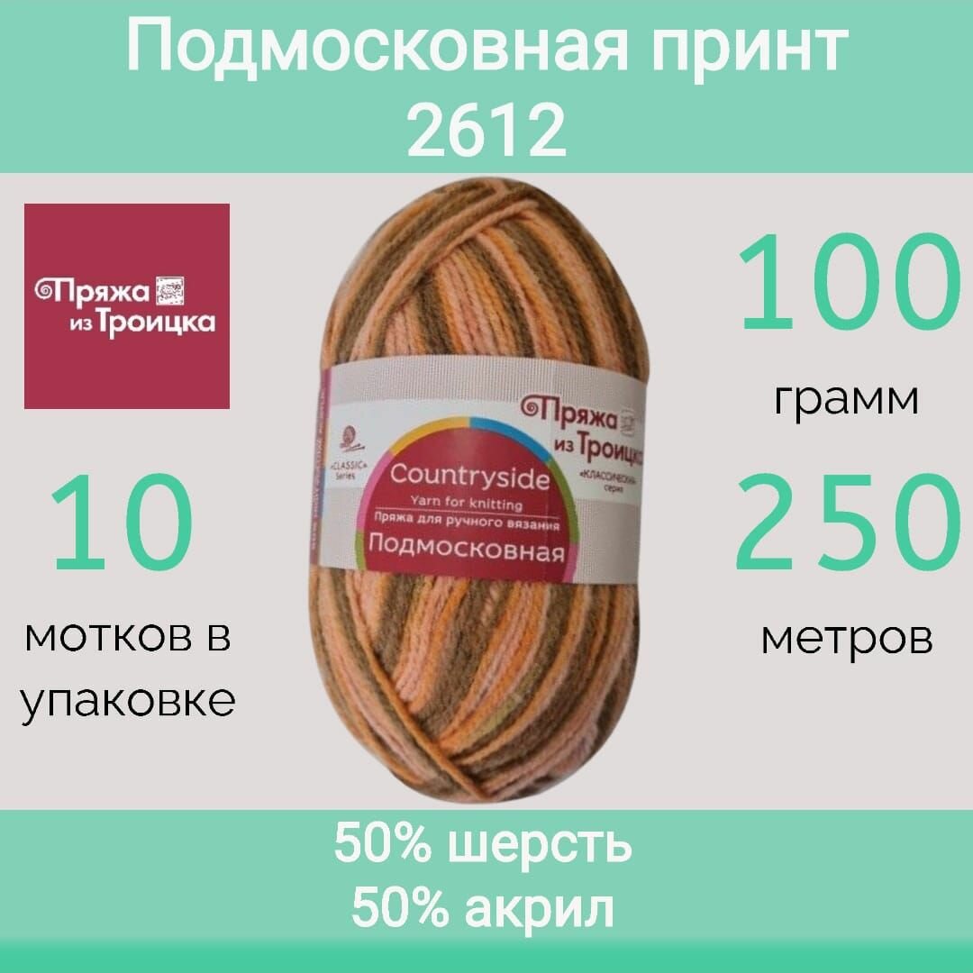 Пряжа Троицкая Подмосковная 2612 секционный/принт (100г/250м, упаковка 10 мотков)
