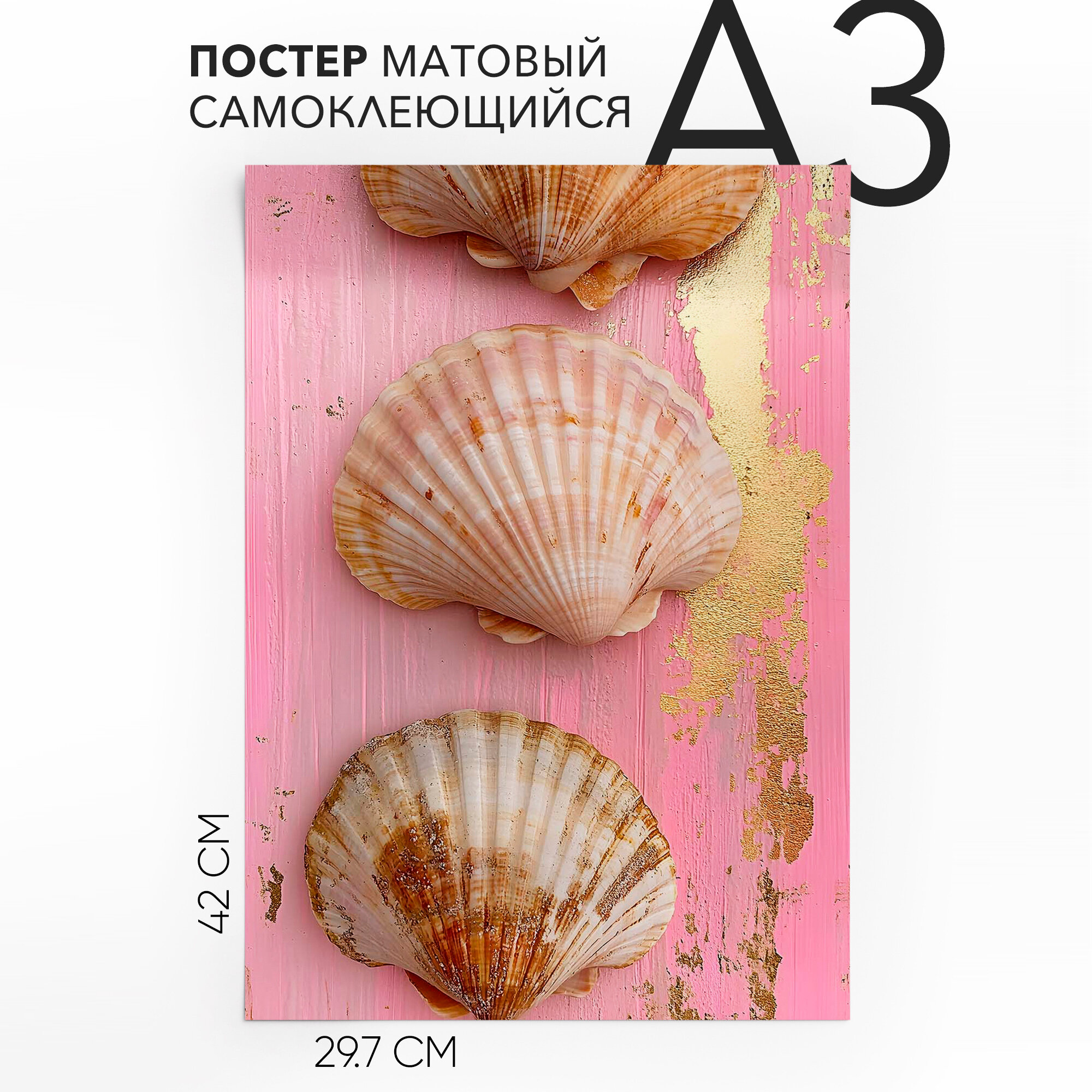 Интерьерные постеры на стену самоклеящийся A3 Ракушки, влагостойкий, для декора
