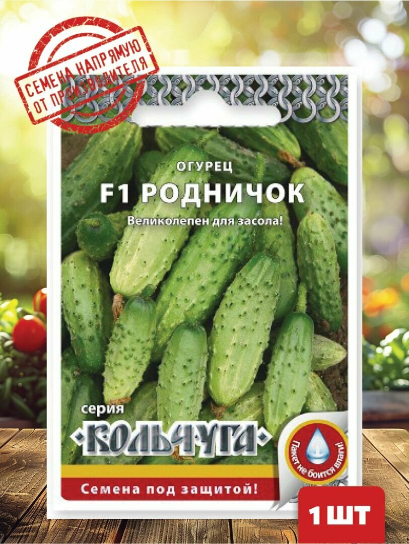 Огурец Родничок "Кольчуга NEW"