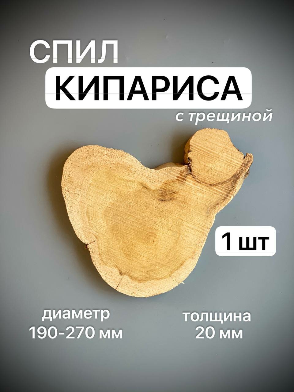 Спил Кипариса с трещиной, диаметр 19-27 см, толщина 2 см, 1шт
