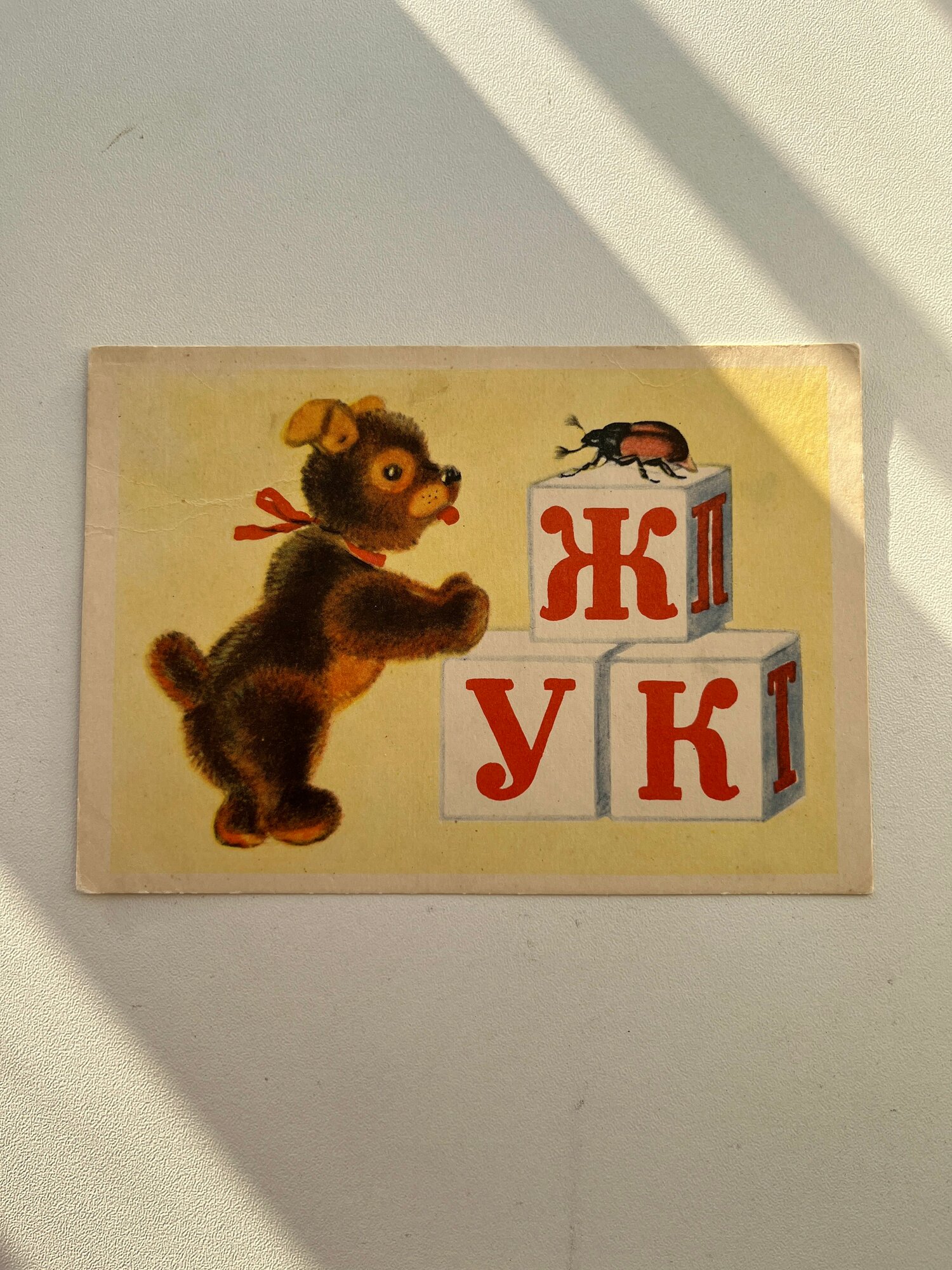 Винтажная открытка СССР Кто это? . Художник Н. Ушакова. Издана в 1955 году