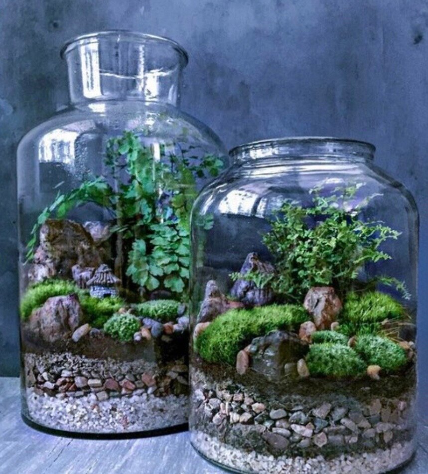 ЭКО система «домик в лесу»