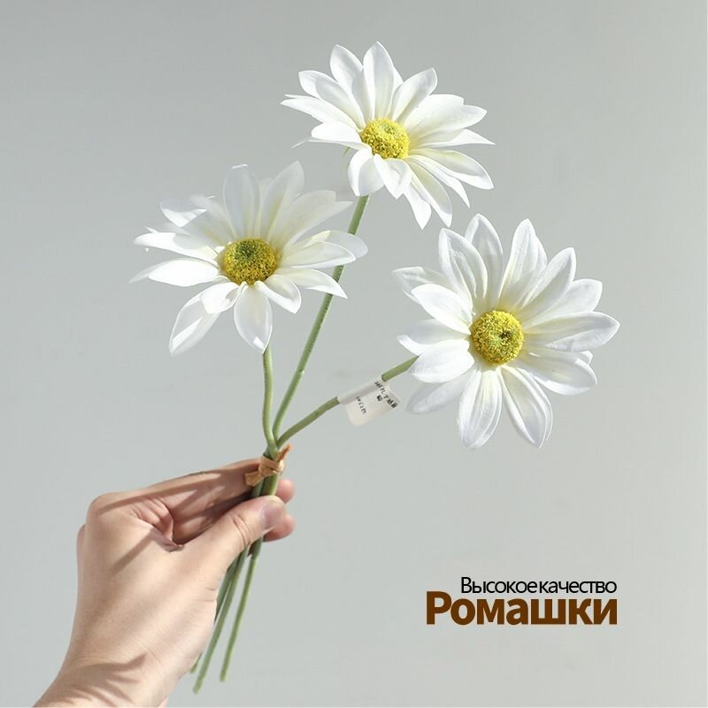 Стабилизированные цветы, Ромашки, 5 пучков, 38cm