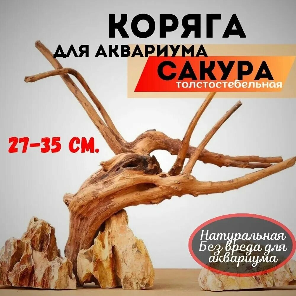 Декорация для аквариума