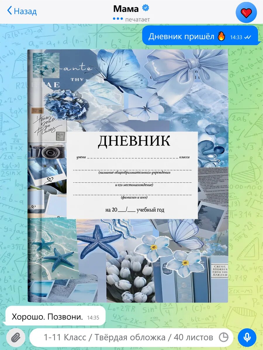 Школьный дневник с принтом y2k pinterest