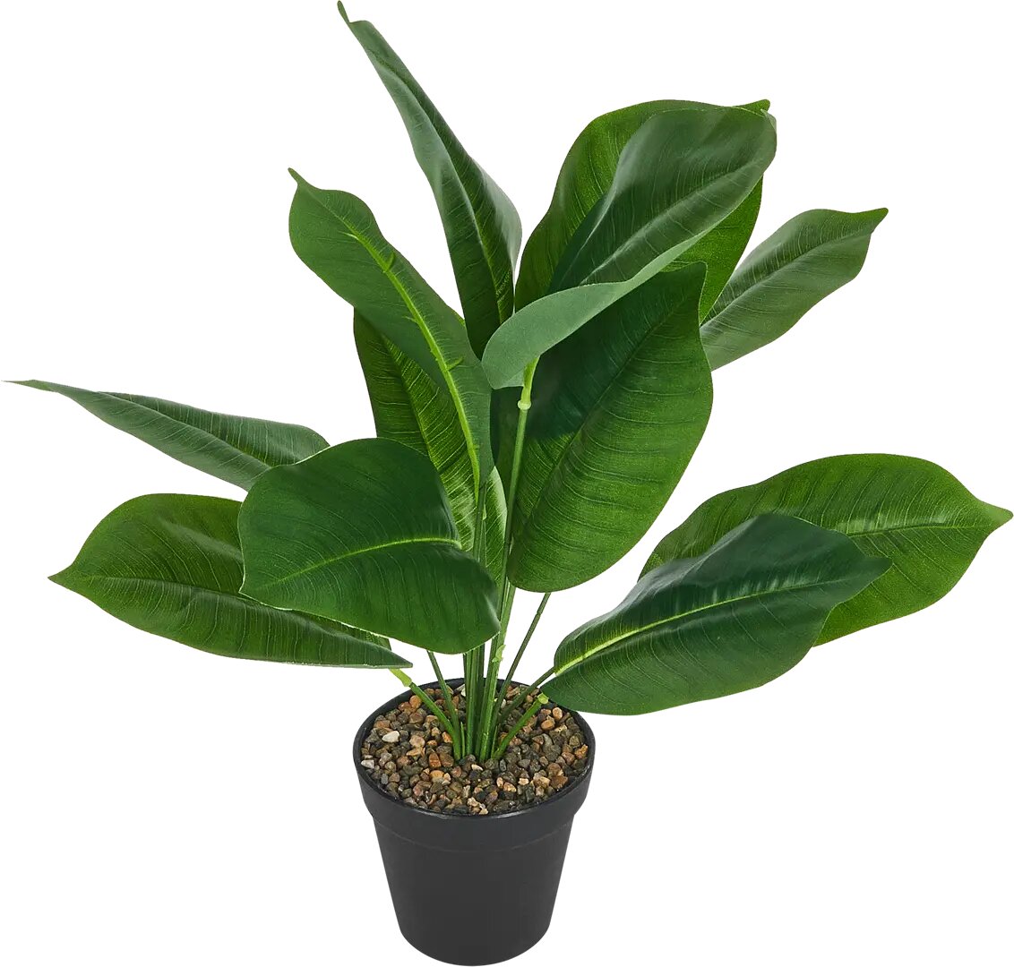 Искусственное растение Аспидистра h45 см полиэстер разноцветный