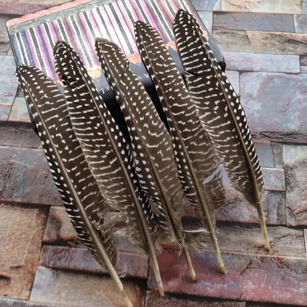 Натуральные перья фазана wtluckystar 20-25 см