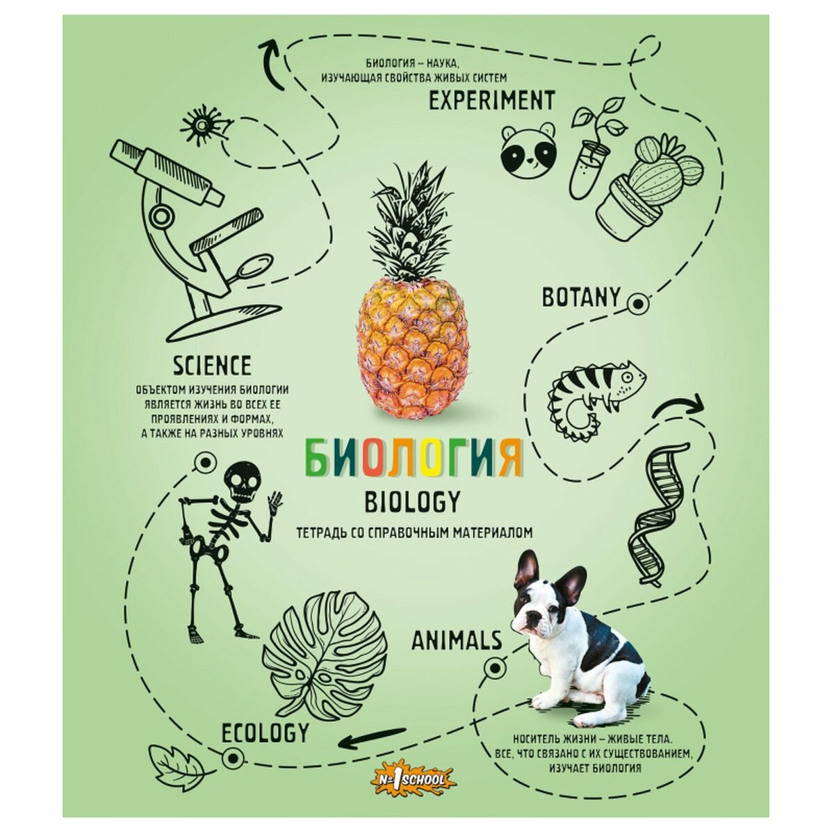 Тетрадь предметная для работ по биологии Комус Класс "Ребус" (А5, 48л, клетка) (1777917), 10шт.