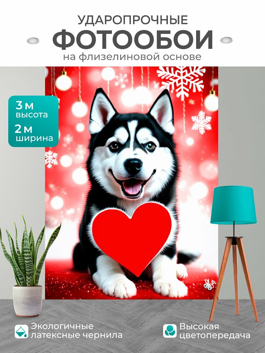 Фотообои моющиеся ударопрочные "Собака породы хаски с черно-белой шерстью, улыбающаяся и держащая в лапах красное сердце. На фоне ярко-красный праздник" 200x300 см. флизелиновые на стену