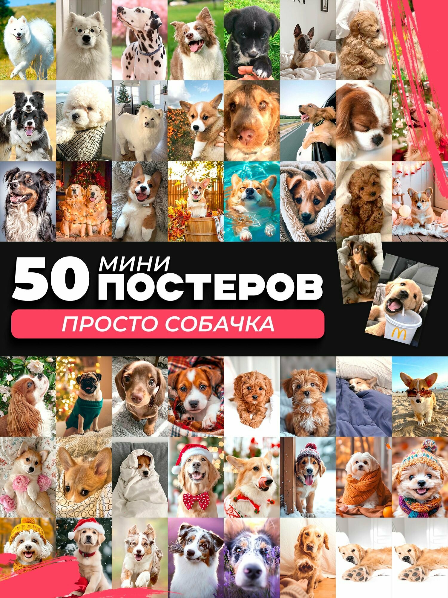 Набор мини постеров собачки
