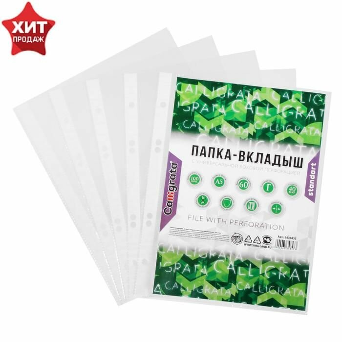Файл-вкладыш Calligrata А5, 40 мкм, глянцевый, вертикальный, 100 штук 6534853
