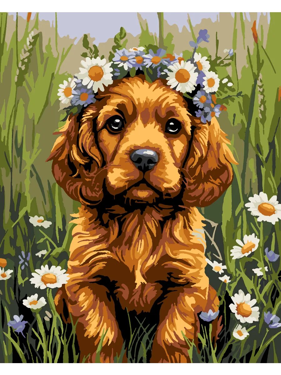 Картина по номерам "Рыжий спаниель", 17 цветов, холст на подрамнике, 40x50 см