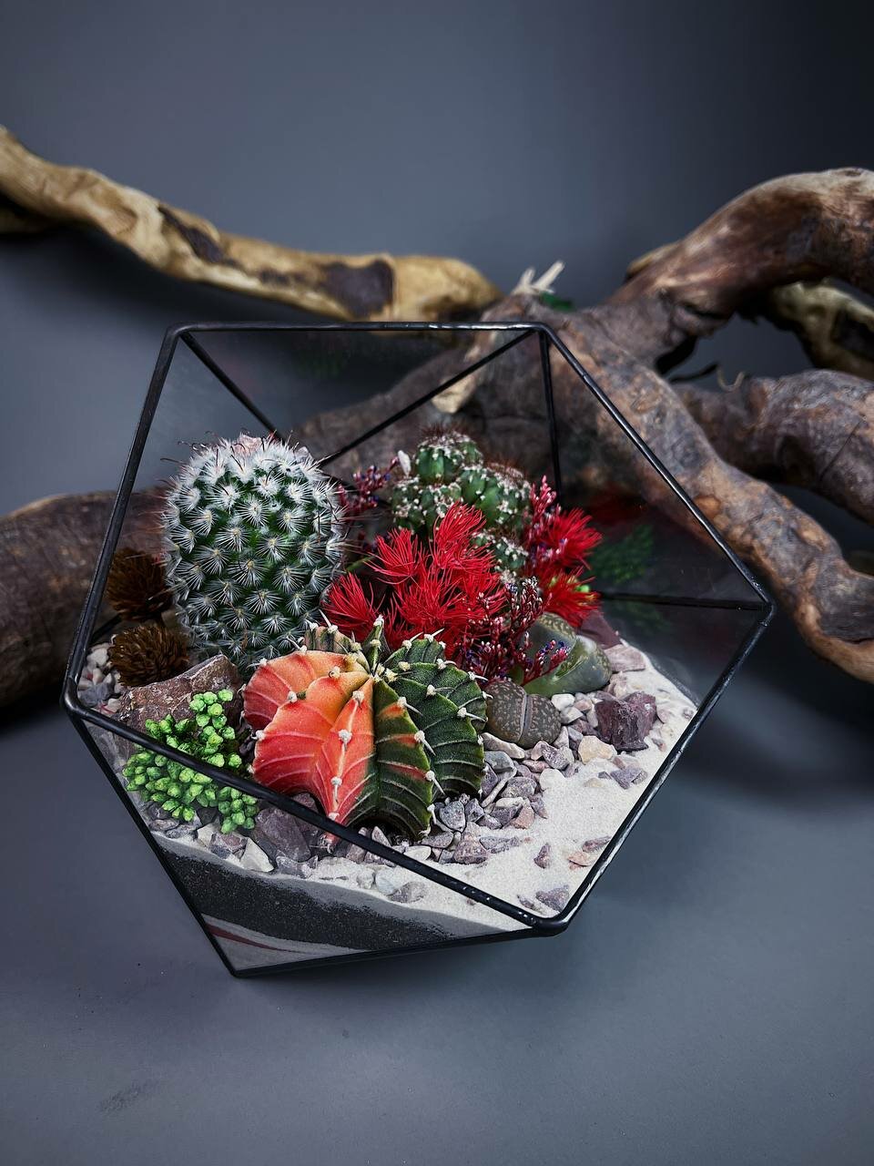 Флорариум с кактусами от Flolefor «Огненный берег», 18х19х17 см (ДхШхВ)